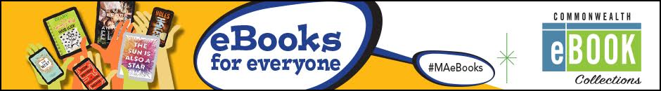 How do I add the other public library networks in the Libby app? What ...